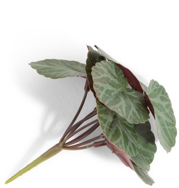 XOOON Saxifrage Mini Bush H13cm kunstbloem kopen?